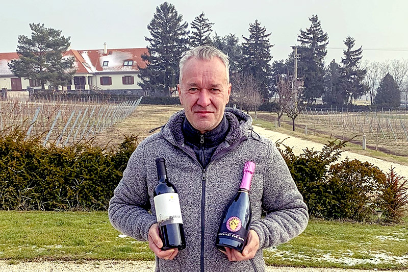 What are your favourite Christmas wines?